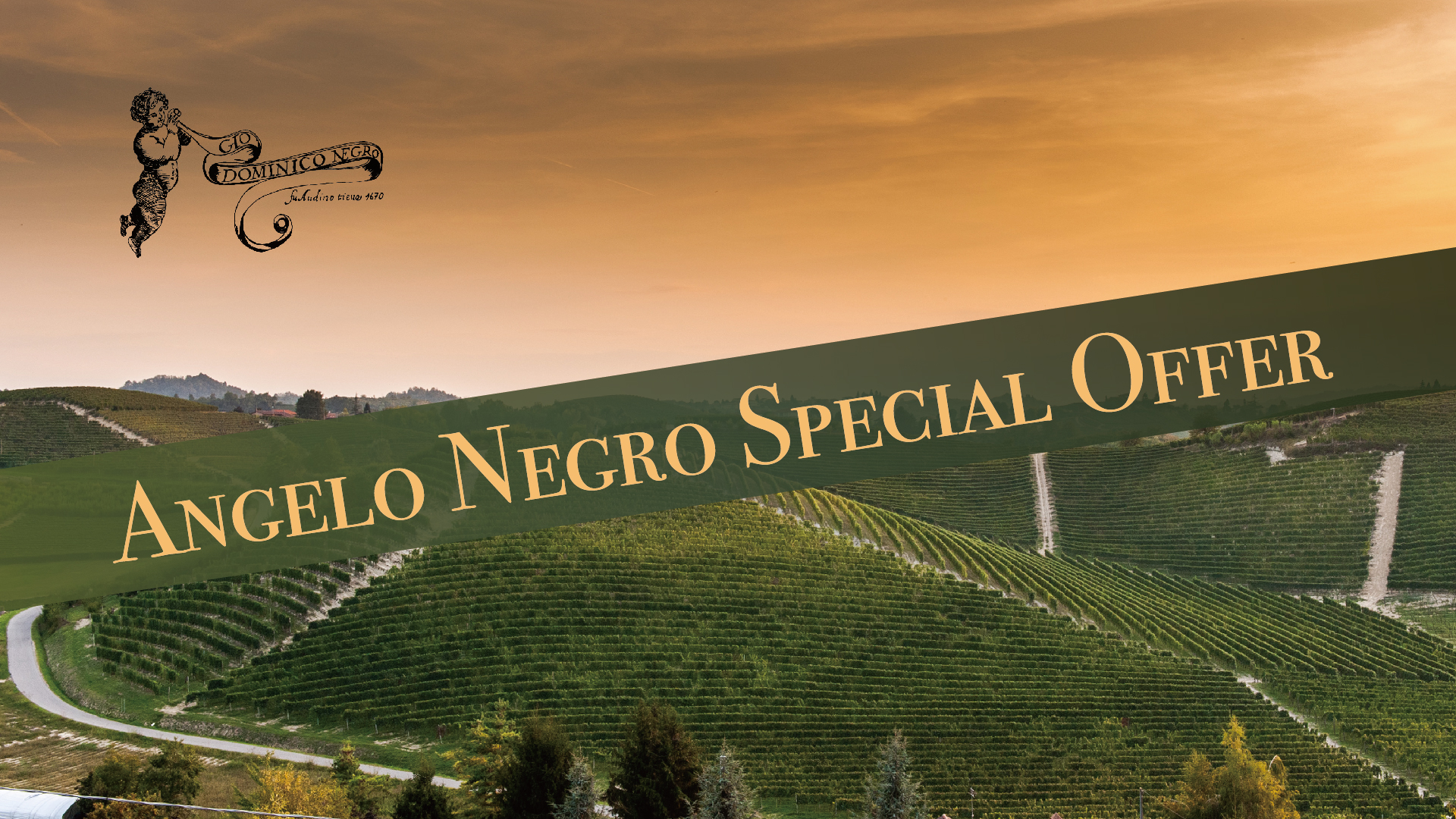 ENJOY SPECIAL OFFER ON Angelo Negro